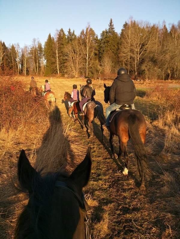 Uteritt med Ebba - Ridklubben Norrtälje Ryttare